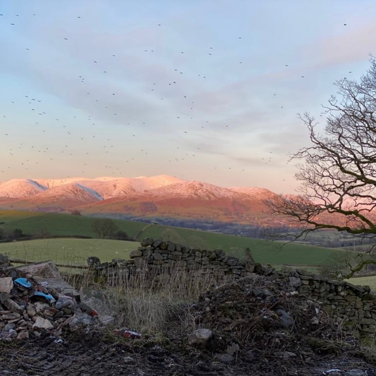 It’s all go at Aikrigg now. | Andrew Mattinson